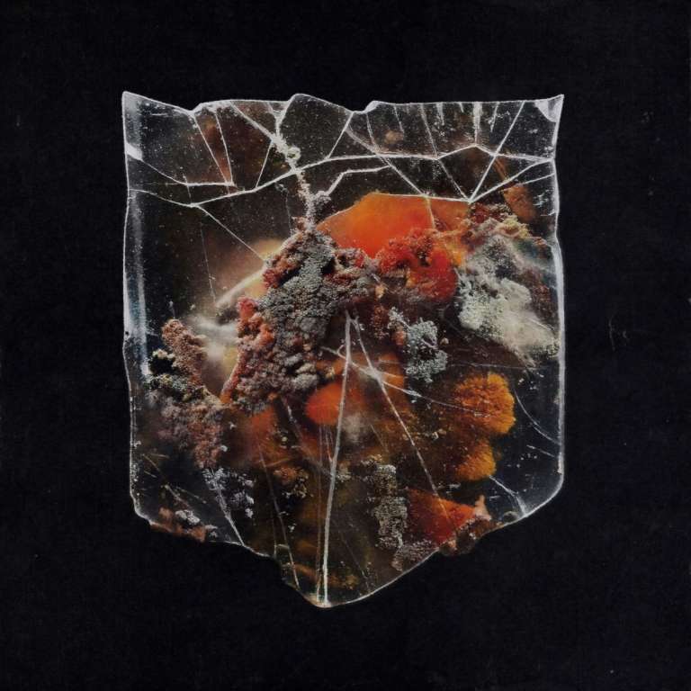 Metalcore band SHIELDS release new single ‘Miss Me’ – their tribute to ...
